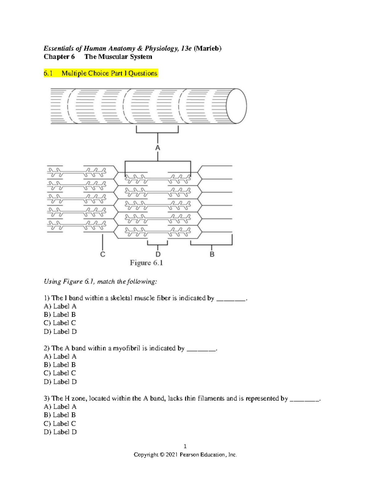 Muscular system revision Q&A - 1 Essentials of Human Anatomy ...