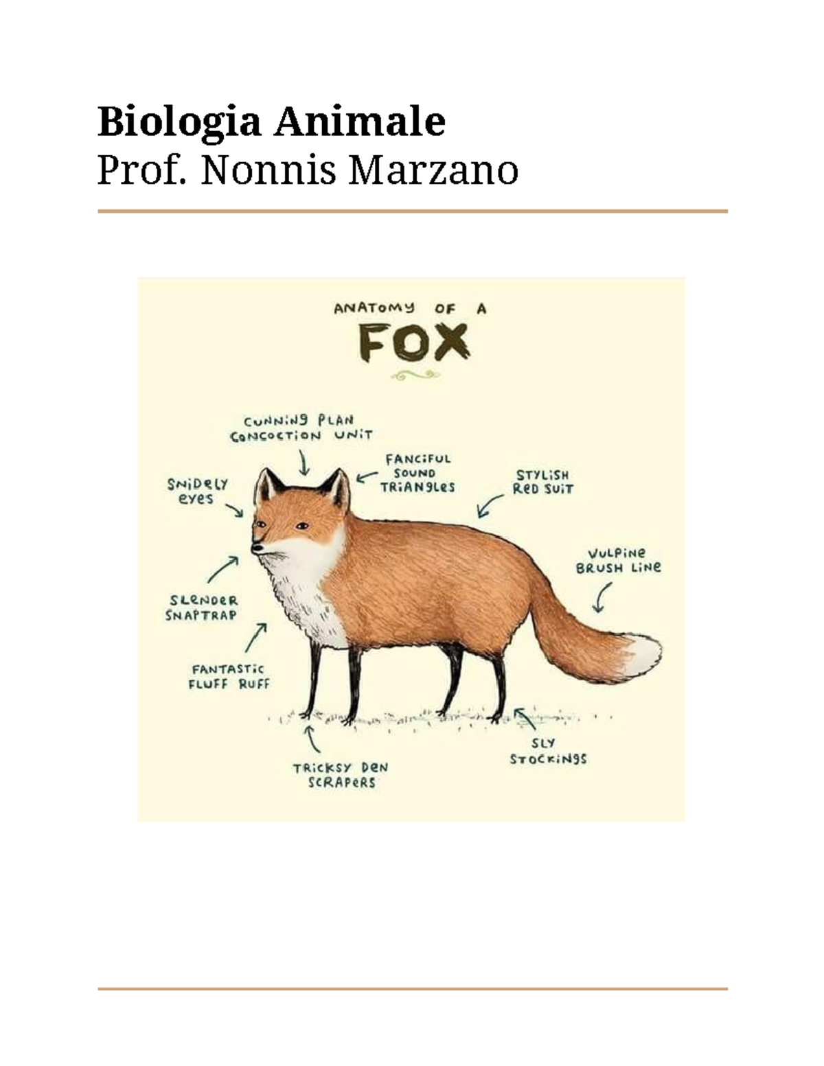 Biologia Animale - Biologia Animale Prof. Nonnis Marzano Evoluzione ...