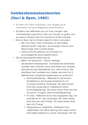 Indre og ytre motivasjon - Kva effekt belønning kan ha på indre motivasjon? Psykologiske behov ...