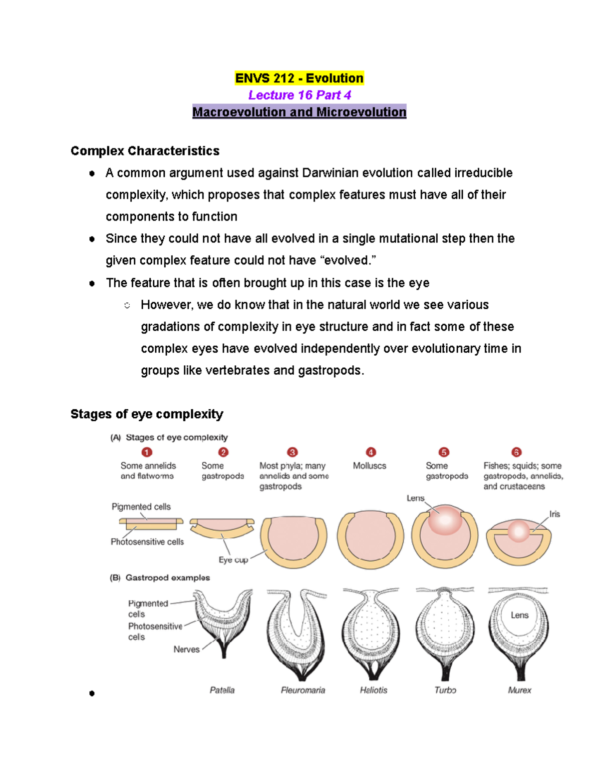 ENVS 212 Lecture 16 Part 4 - Spring 2020 - ENVS 212 - Evolution Lecture 16 Part 4 Macroevolution ...