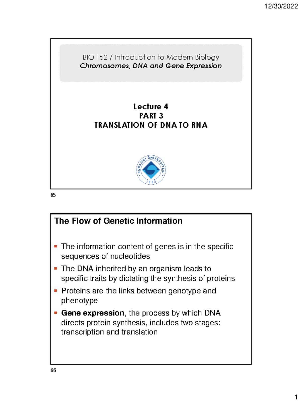 BIO 152 Lecture 4 gene-expression Part 3 DNA to RNA - Lecture 4 PART 3 TRANSLATION OF DNA TO RNA ...