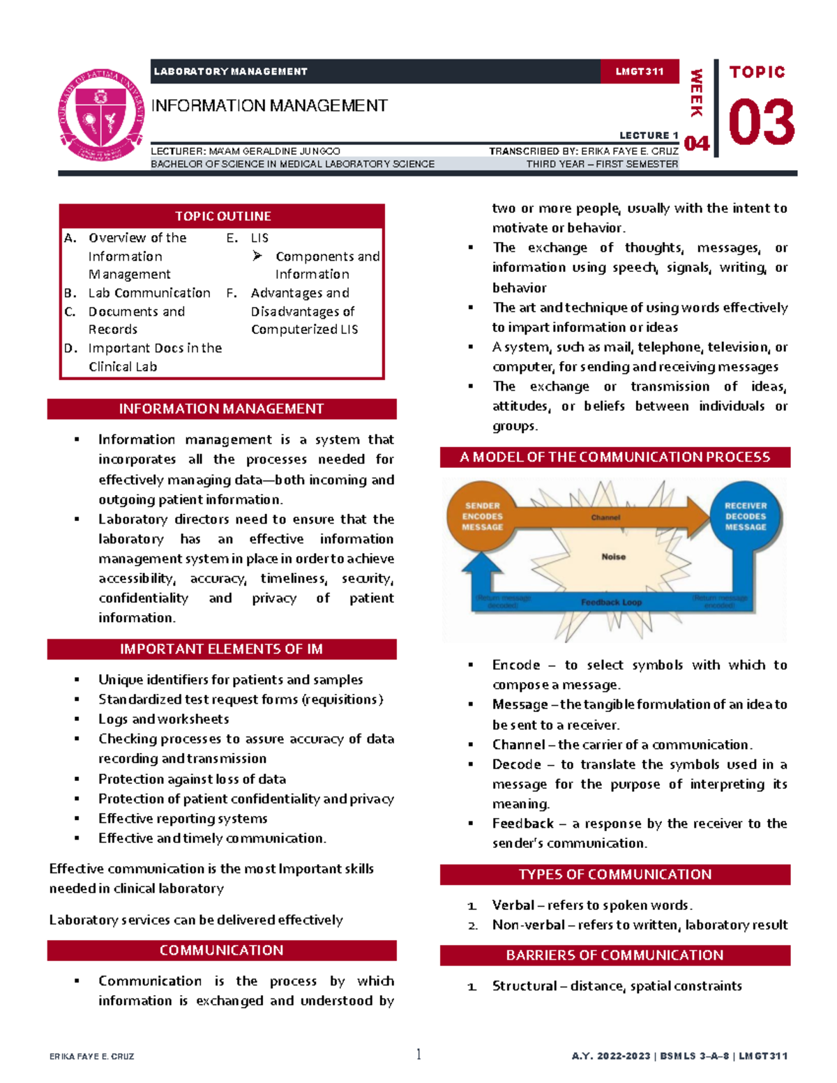 LMGT311 P3 Information Management - INFORMATION MANAGEMENT Information ...