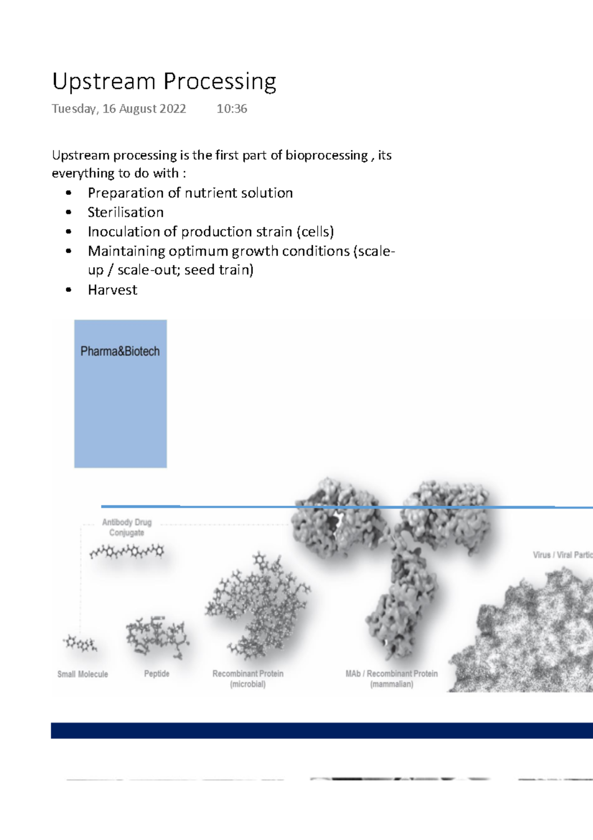 Upstream Processing - By professor Mariana hanga-petra - Upstream ...