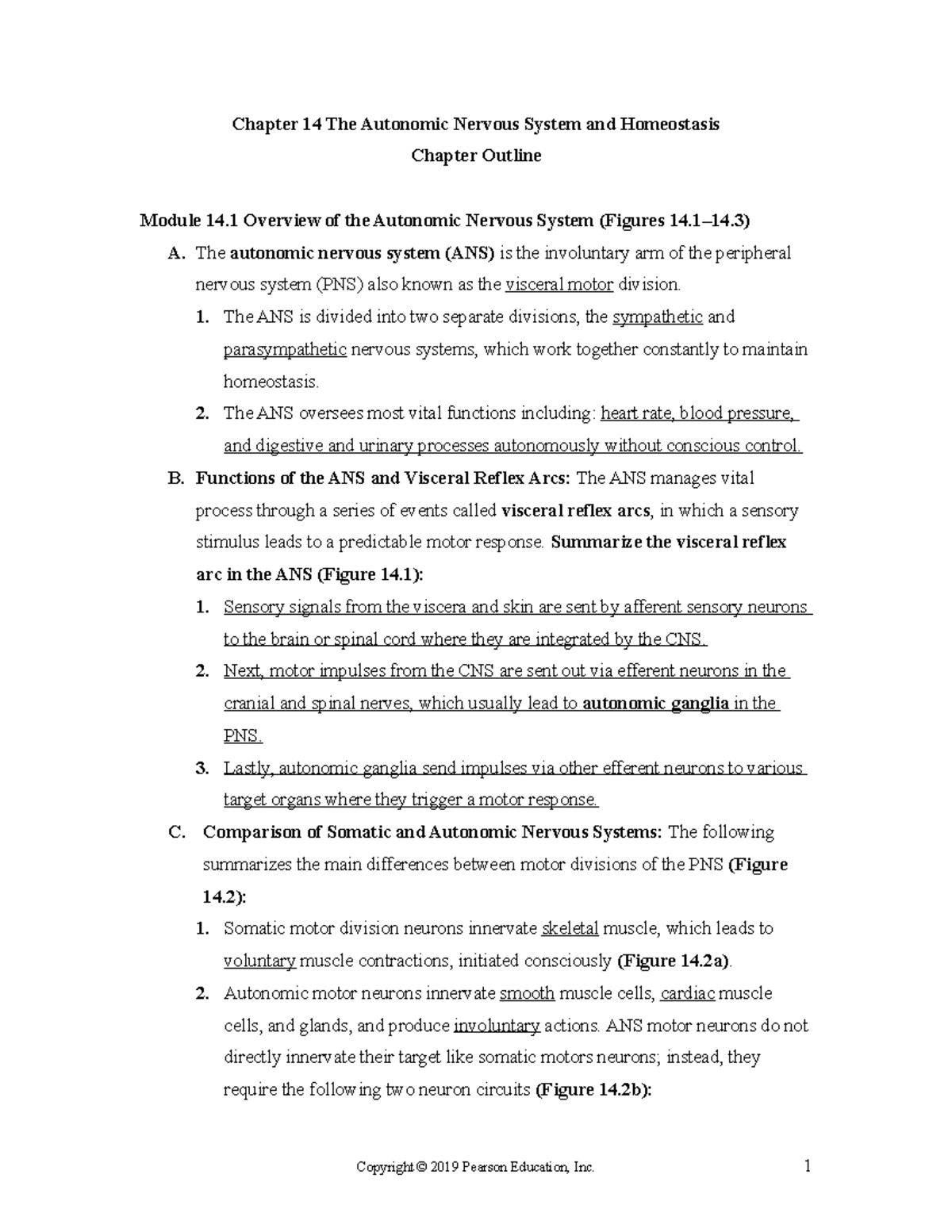 Amerman hap2 ch14 student lecture outlines-professors - Chapter 14 The ...