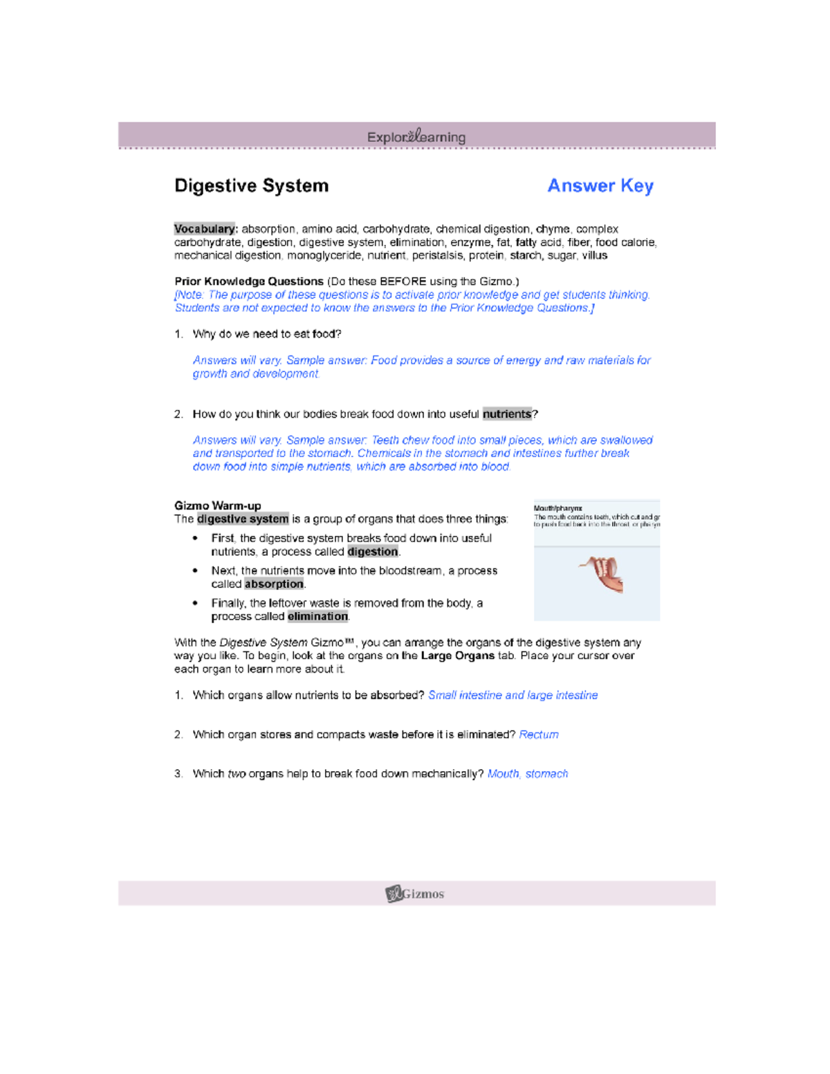 Gizmos Assignment - Explorelearning Digestive System Answer Key ...