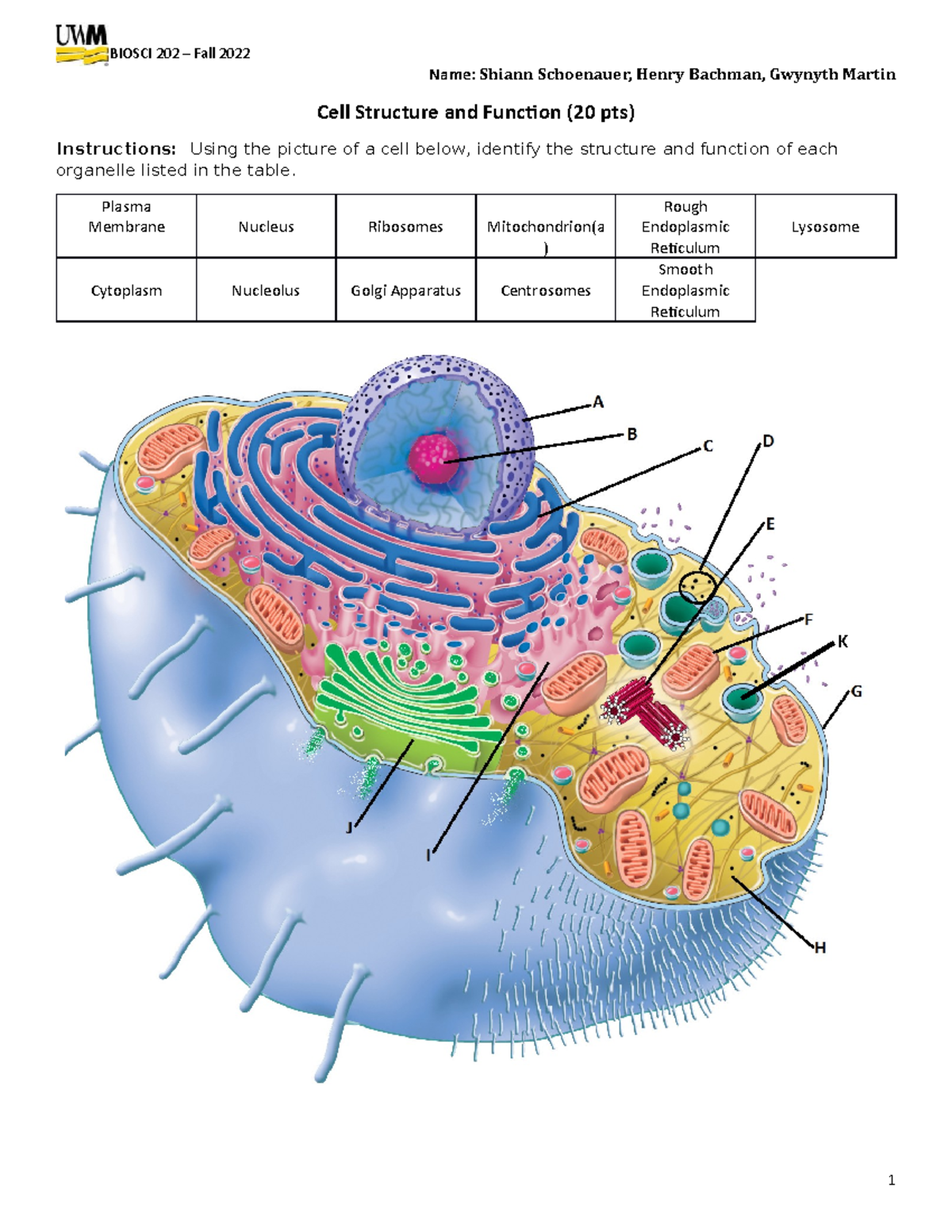 Cell Anatomy Activity - Fall 2022 - BIOSCI 202 – Fall 2022 Name: Shiann ...