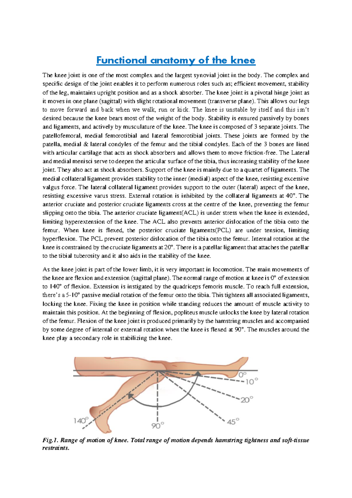 Functional anatomy of the knee - The complex and specific design of the ...