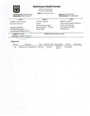 History Ausha 92423 - Hvhhb - Name: Ausha Francois HIS-144 Civil Rights ...