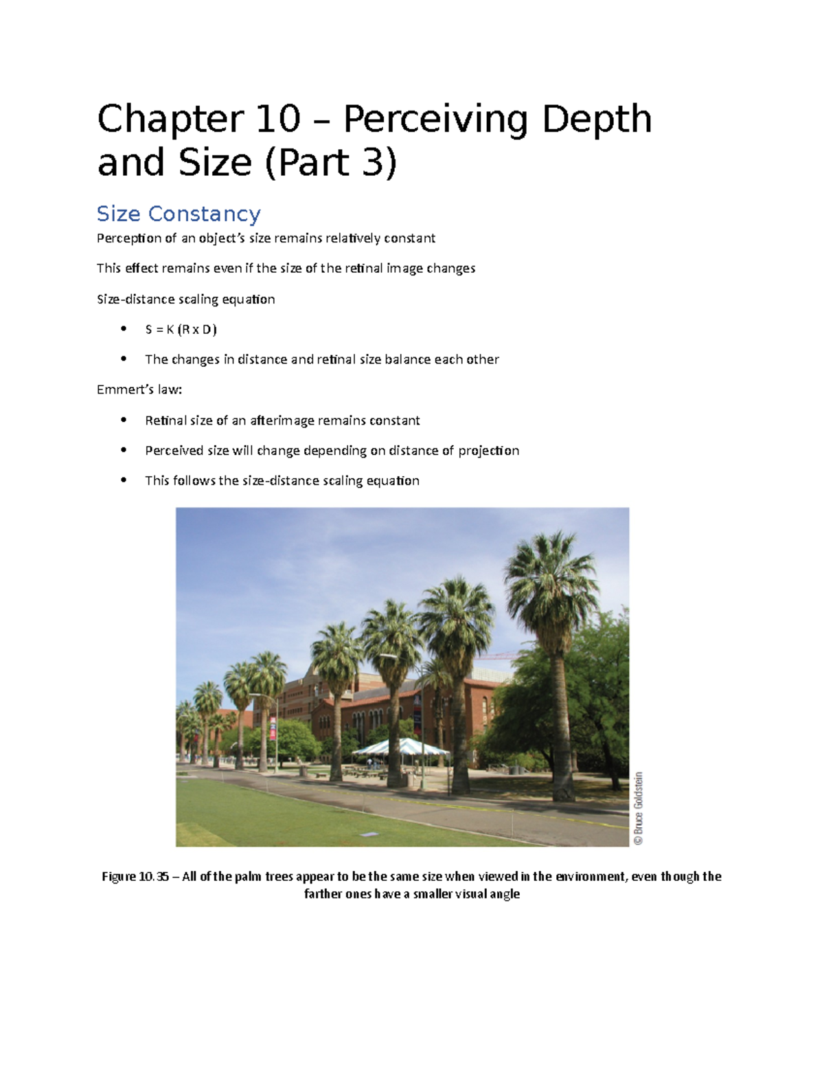 03-31-23 Chapter 10, Perceiving Depth and Size, Part 3 - Chapter 10 – Perceiving Depth and Size ...