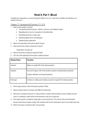Unit 3 Lecture Exam Study Guide - UNIT 3 LECTURE EXAM STUDY GUIDE ...
