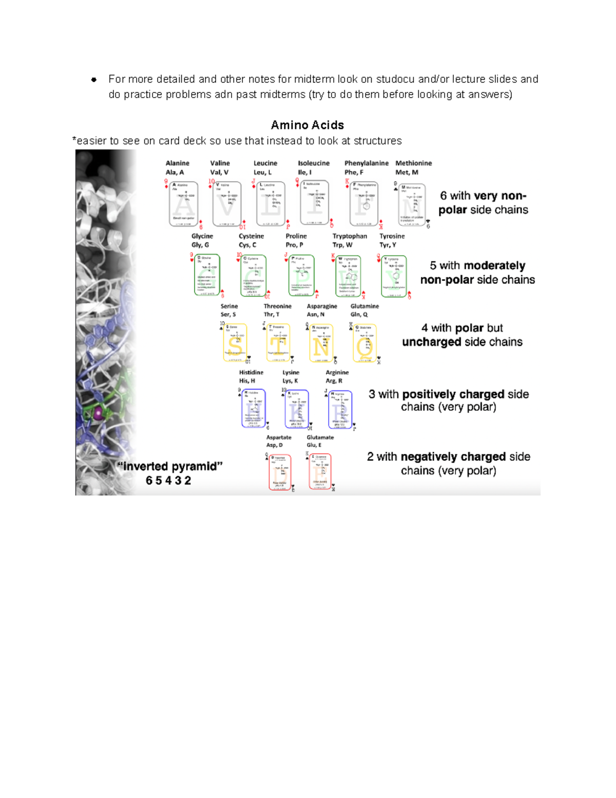 Biochem midterm study notes (equations, unit conversions, amino acids ...