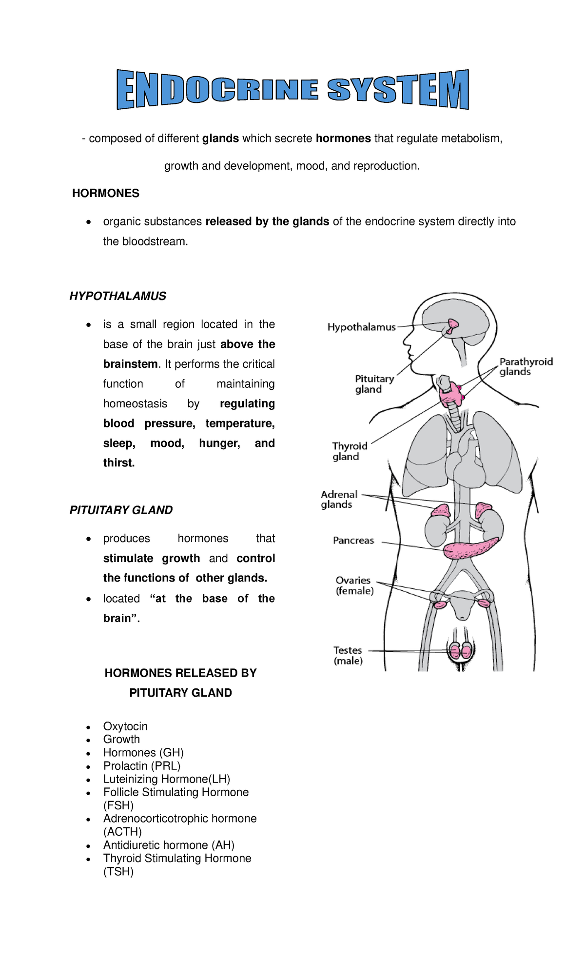 Endocrine- System- Reviewer - composed of different glands which ...