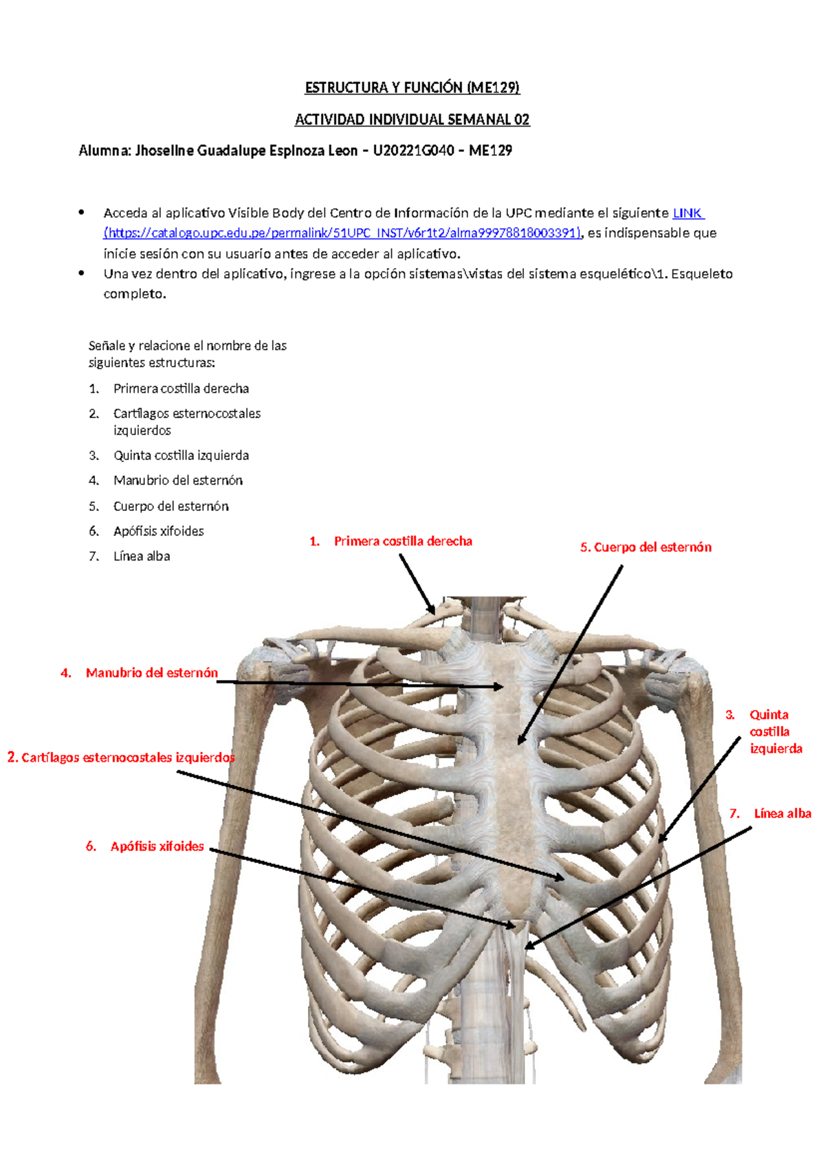 ME129 Ey F Tarea Sem02 22 - ESTRUCTURA Y FUNCIÓN (ME129) ACTIVIDAD ...