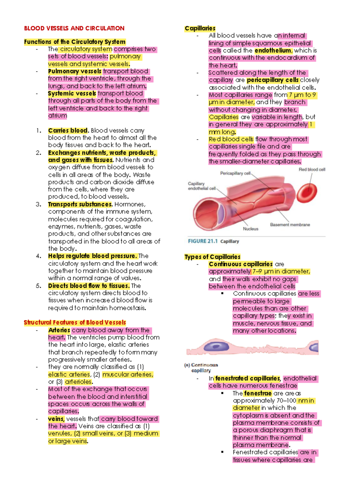 Blood Vessels andCirculation - BLOOD VESSELS AND CIRCULATION Functions ...
