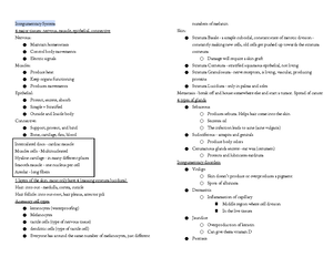 Integumentary System Worksheet - Integumentary Worksheet Name: Multiple ...