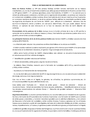 Síndrome Comatoso - TEMA III: SINDROME COMATOSO 1 ) Definición: Del ...