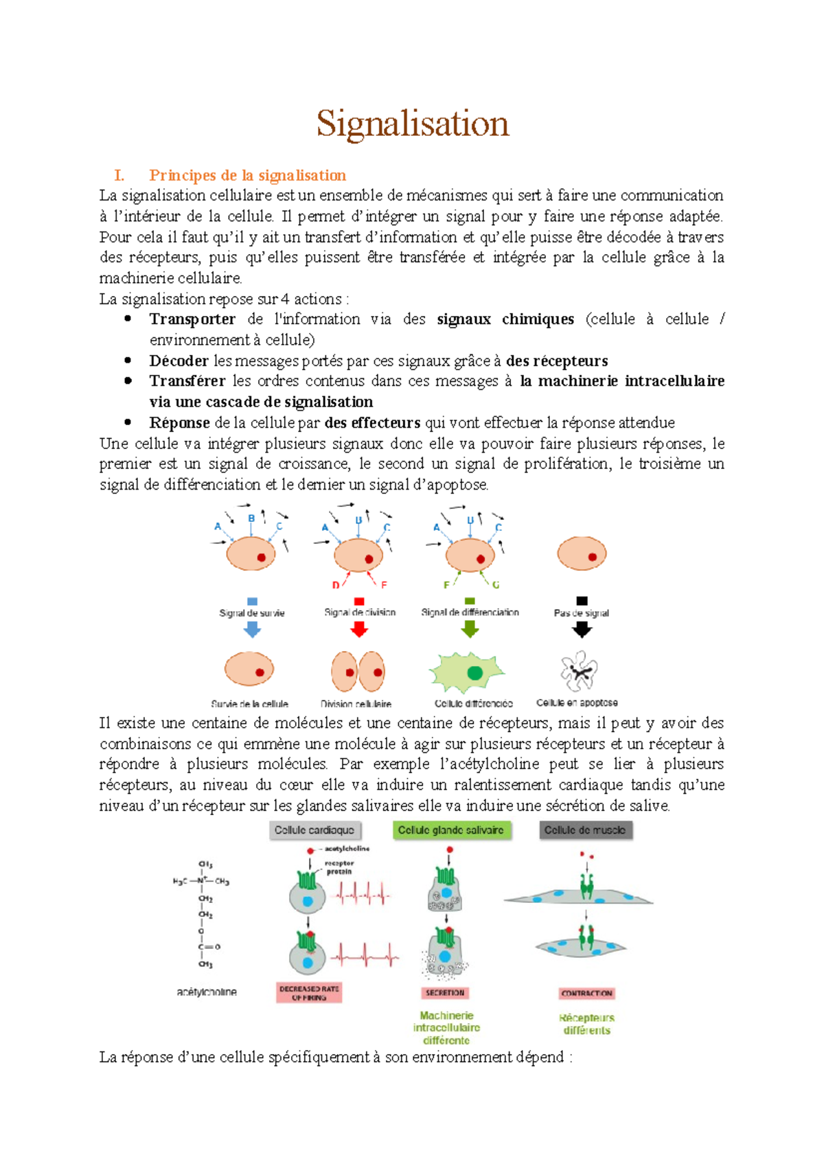 Signalisation - Principes de la signalisation La signalisation ...