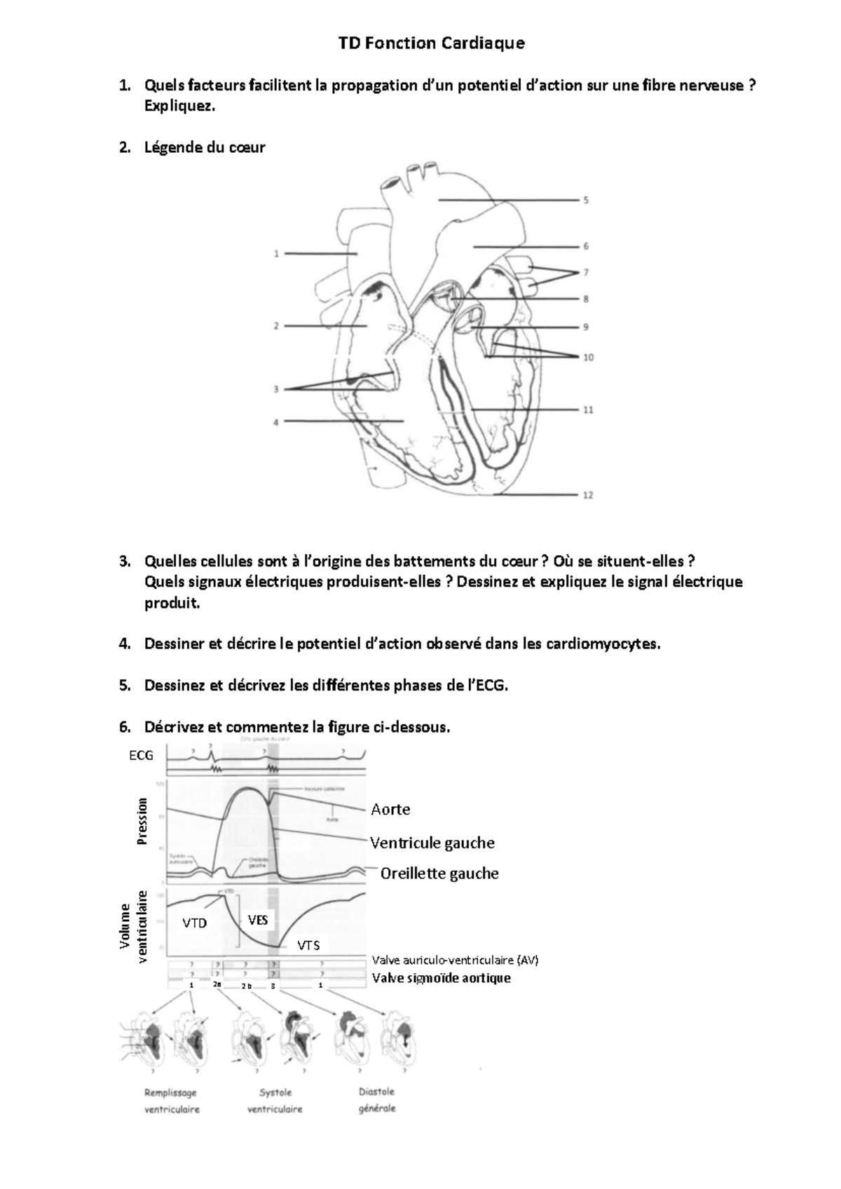 L2S4 - TD Coeur - exercice physiologie - TD Fonction Cardiaque Quels ...