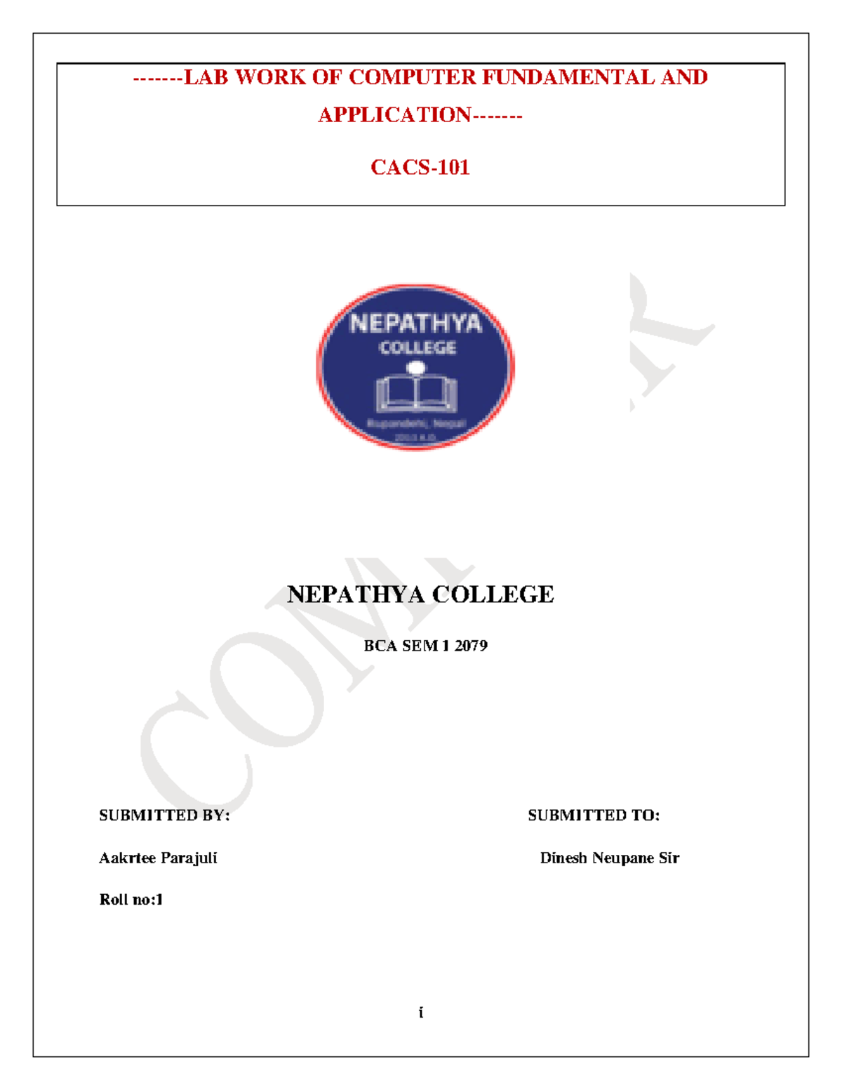 Lab work of Computer Fundamentals and Application - i NEPATHYA COLLEGE ...