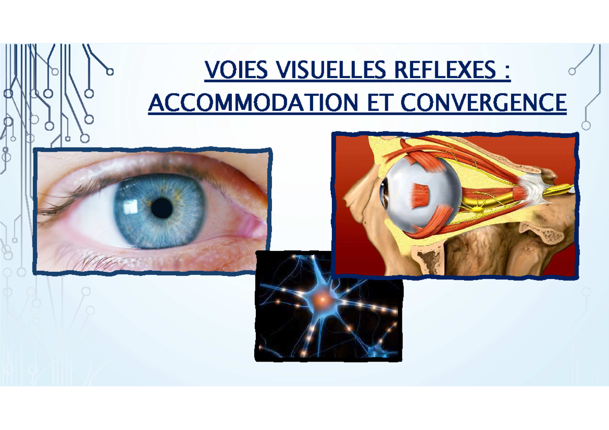 Anat Voies réflexes de la vision - VOIES VISUELLES REFLEXES ...