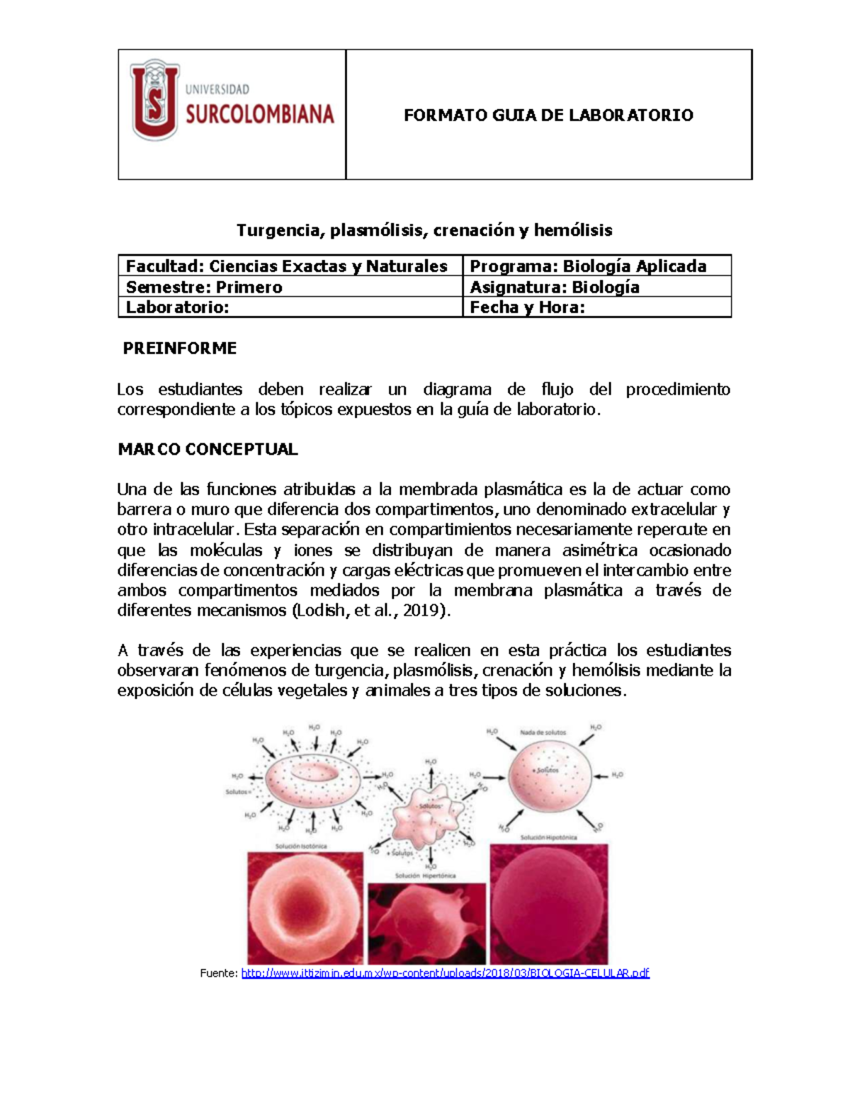 Laboratorio #3-Turgencia, plasmólisis - Turgencia, plasmÛlisis ...