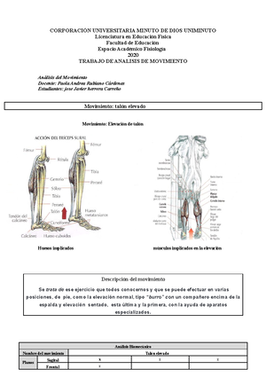 Historia Gimnasia - HISTORIA Y EVOLUCIÓN DE LA GIMNASIA LICETH KATERINT ...