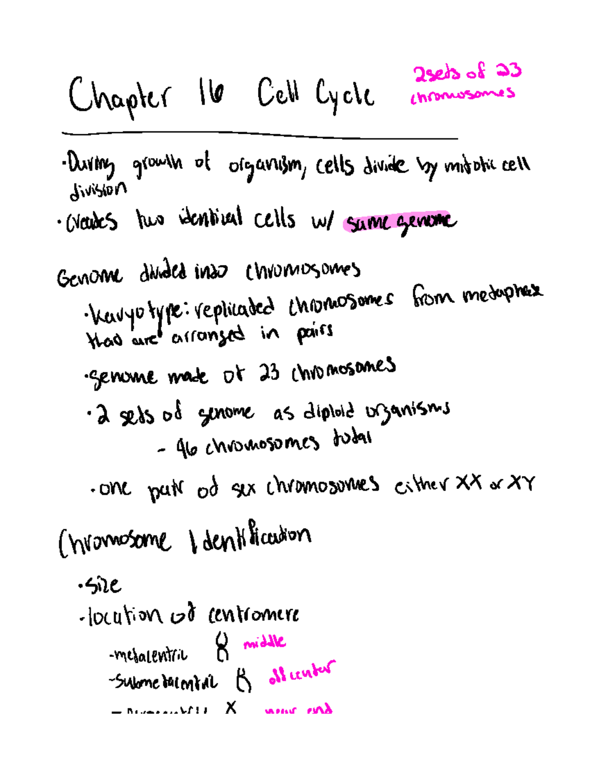 Bio Chapter 16 Notes - 2 sets of 23 Chapter 16 Cell Cycle chromosomes ...