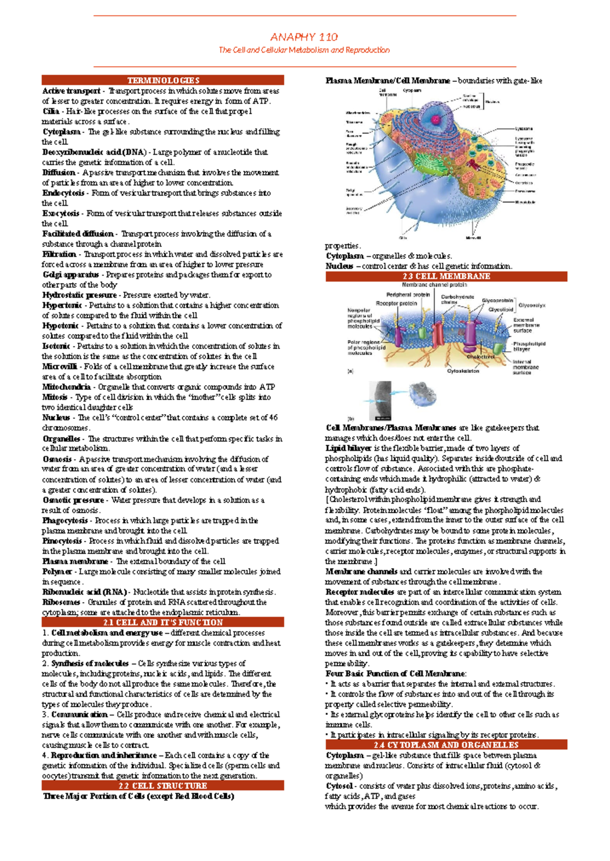 Anaphy CELL - REVIEWER - ANAPHY 110 The Cell and Cellular Metabolism ...