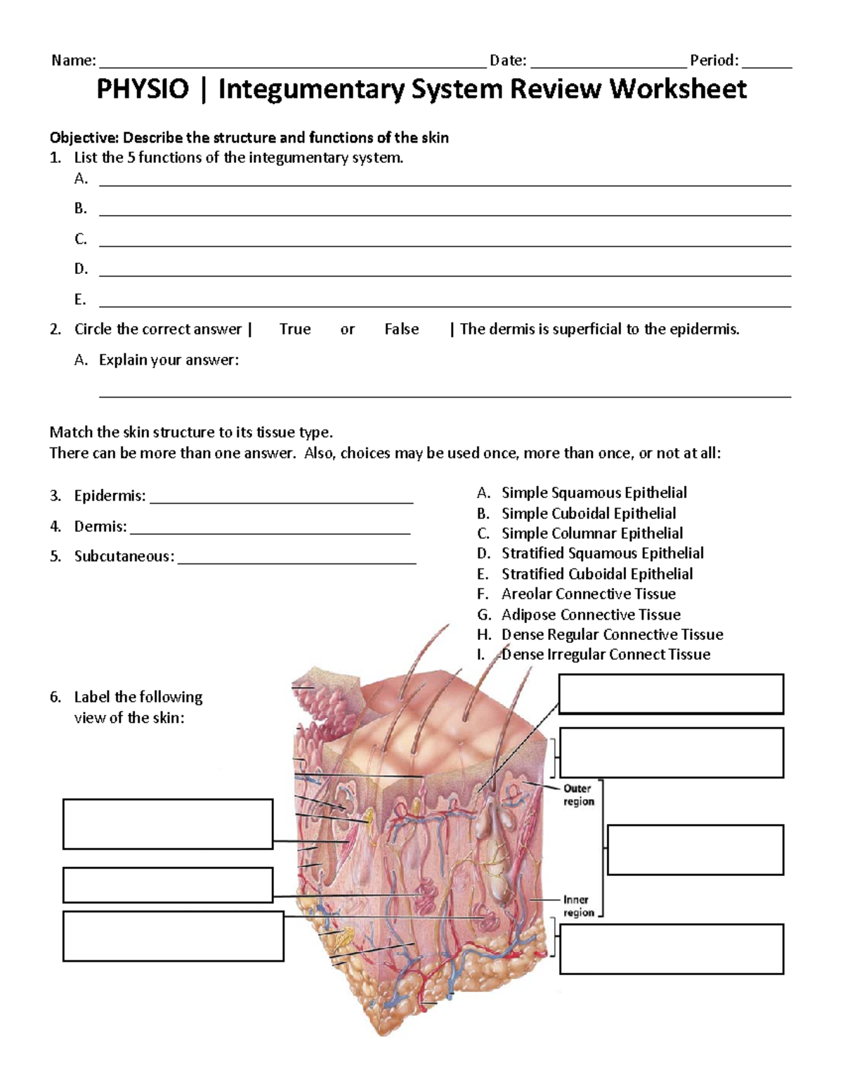 Christian Osorio - integumentary-system-review-worksheet - Name: - Studocu