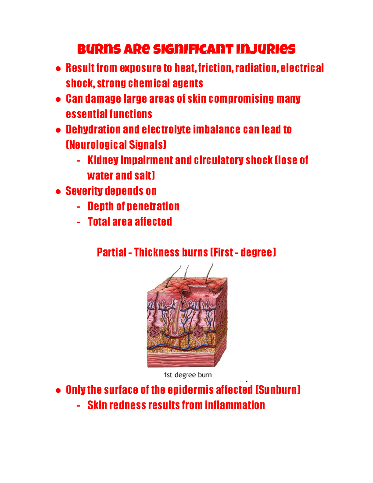 Burn Notes Anatomy - Burns are significant injuries Result from ...