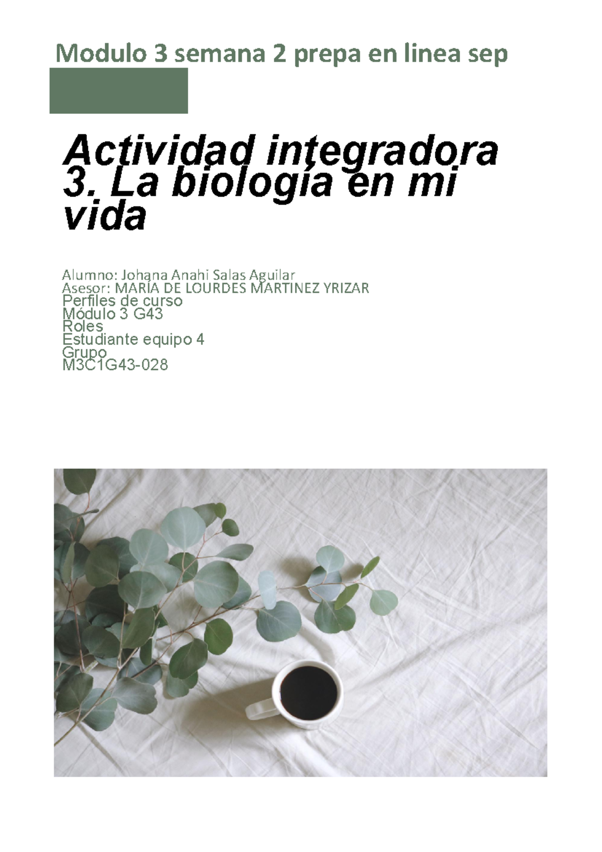 Salas Aguilar Johana Anahi M3S2AI3 - Modulo 3 semana 2 prepa en linea ...