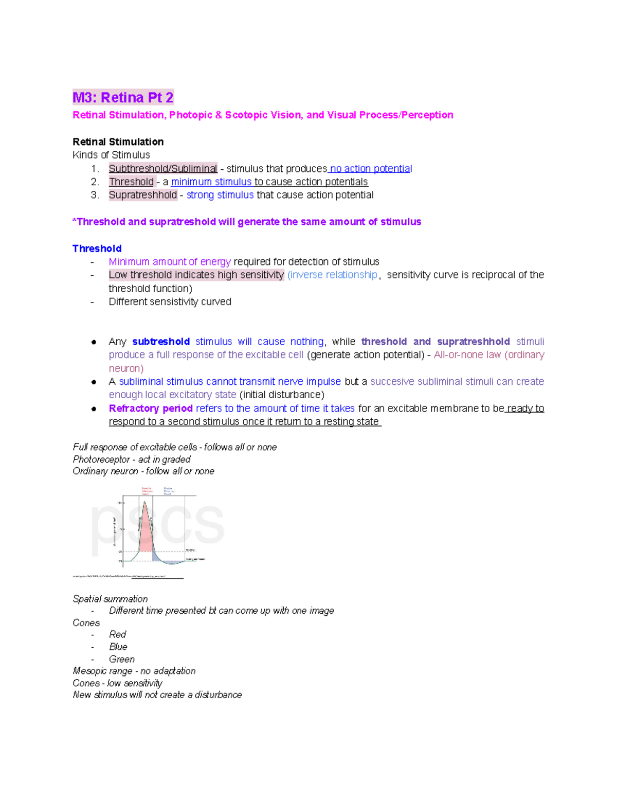 M2 Retina P2 - M3: Retina Pt 2 Retinal Stimulation, Photopic & Scotopic ...