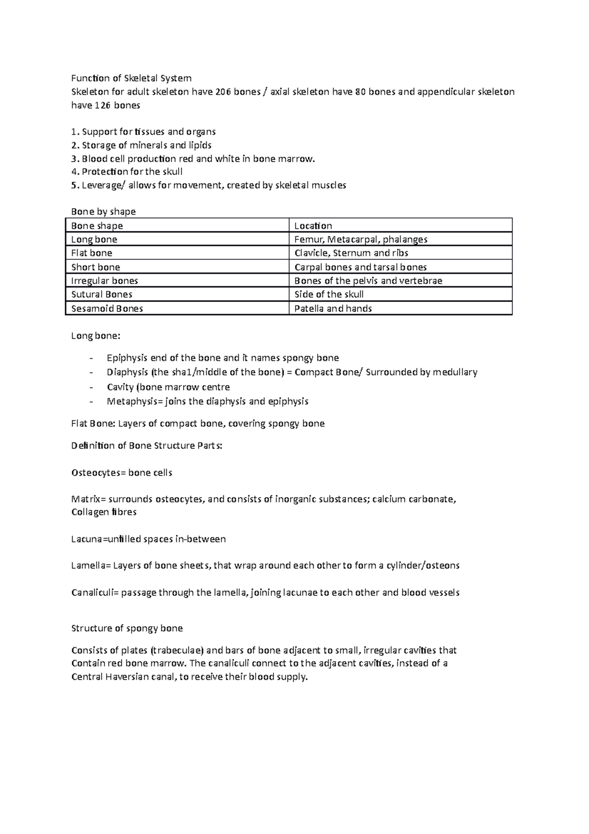 Function Of Skeletal System Function Of Skeletal System Skeleton For