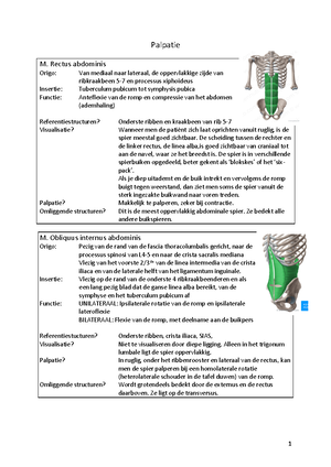 Praktijk heup - Praktijk heup BOTSTRUCTUREN ANTERIEUR BEKKEN - SIAS ...