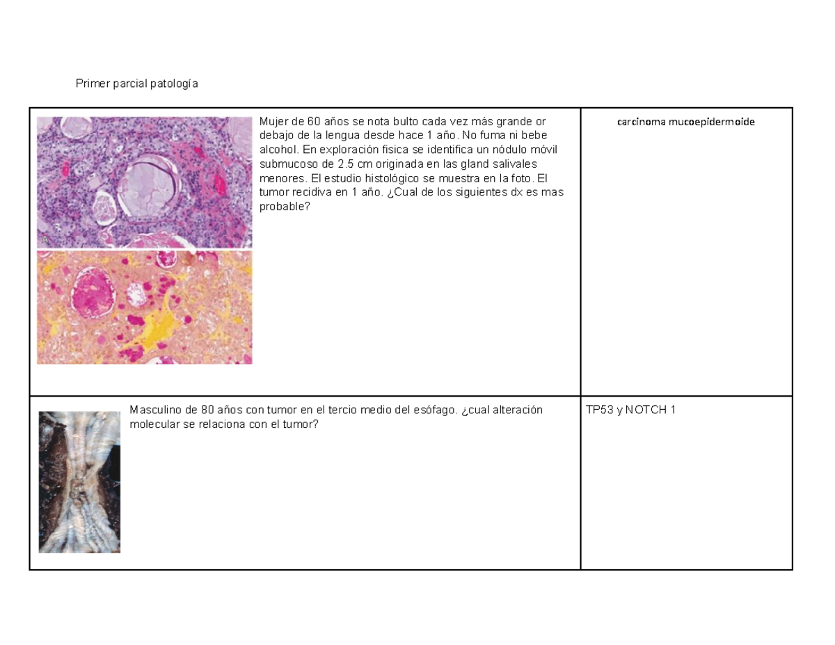 Primer parcial patología - Primer parcial patología Mujer de 60 años se ...