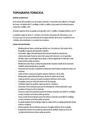 Piel Histologia Ross - Sistema tegumentario Es el órgano más grande del ...