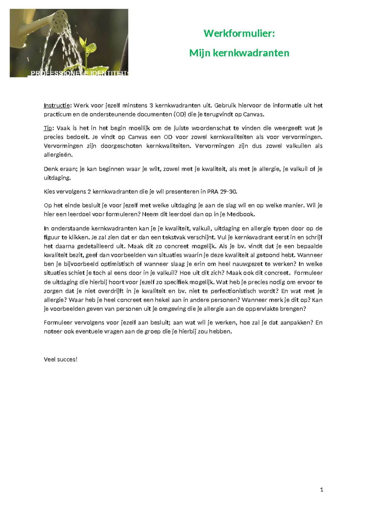 WF Mijn kernkwadranten - Werkformulier: Mijn kernkwadranten Instructie ...