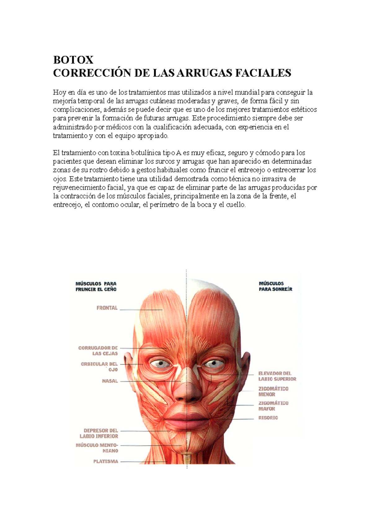Botox - BOTOX CORRECCIÓN DE LAS ARRUGAS FACIALES Hoy en día es uno de ...