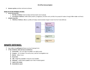 Ch 20. Lymphatic System Outline - The Lymphatic System ∑ network of ...