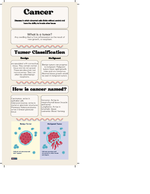 Hallmark Practicum Time Sheet - BSN 325 Community Health Project Time ...