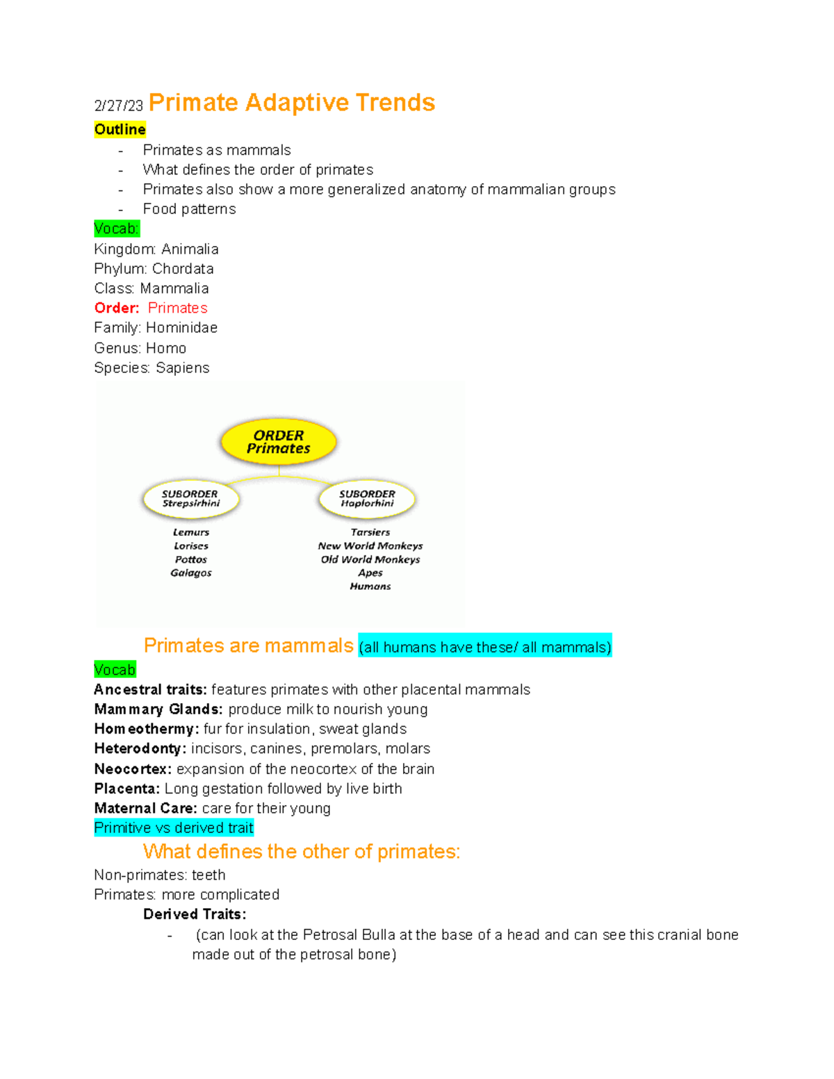 Bio Anthro Notes pt2 - 2/27/23 Primate Adaptive Trends Outline ...