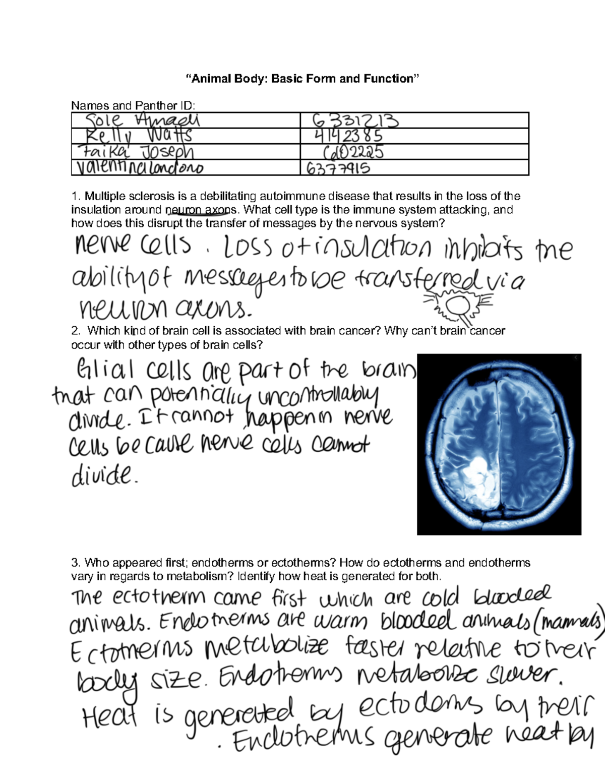 Animal Body, Basic Form and Function Worksheet - “Animal Body: Basic ...