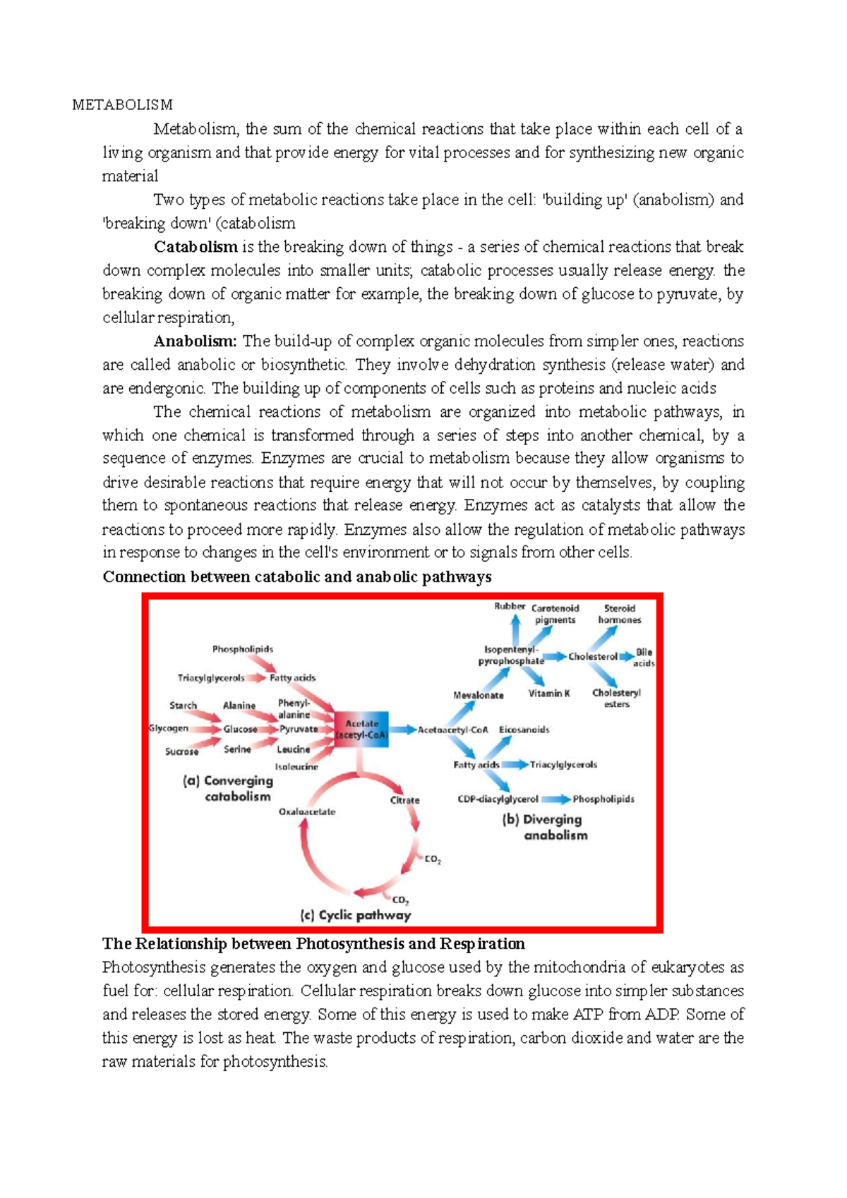 Sem 01 Pharmacy Unit - 5 Metabolism - METABOLISM Metabolism, the sum of the chemical reactions ...