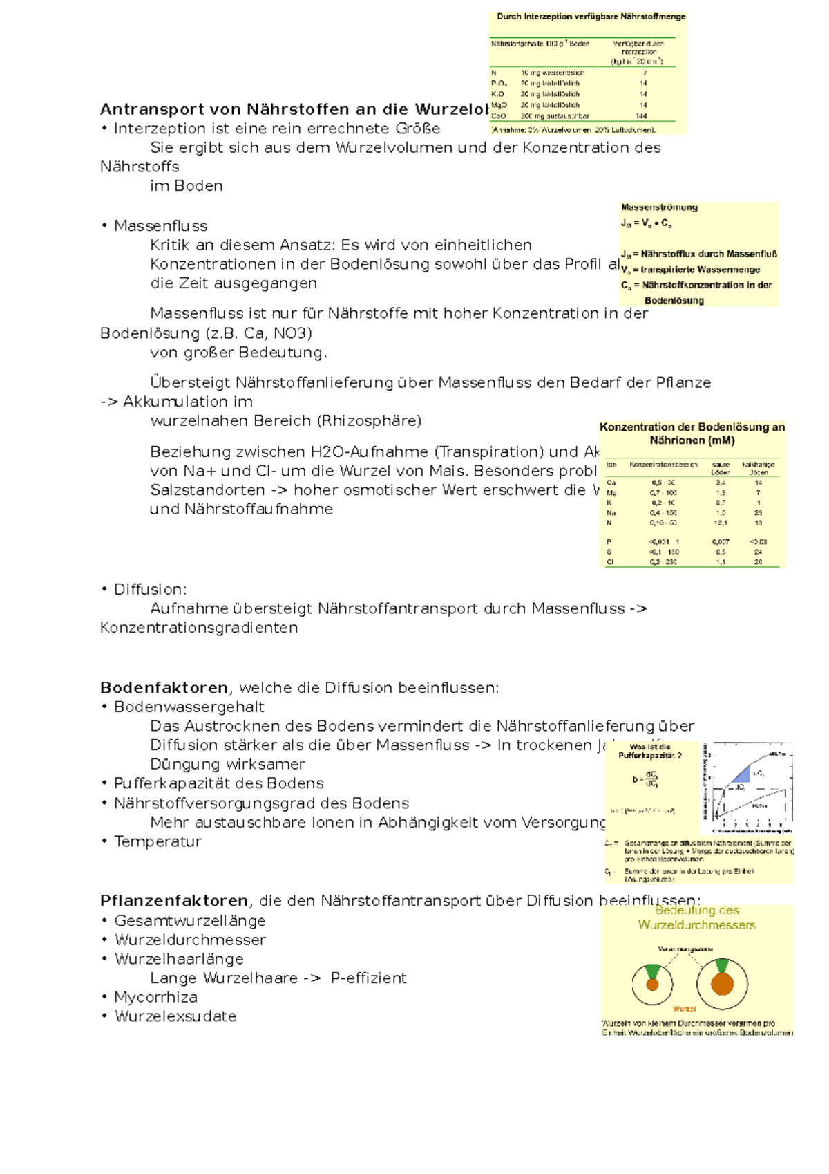 Summary Pflanzenernährung - Antransport von Nährstoffen an die ...