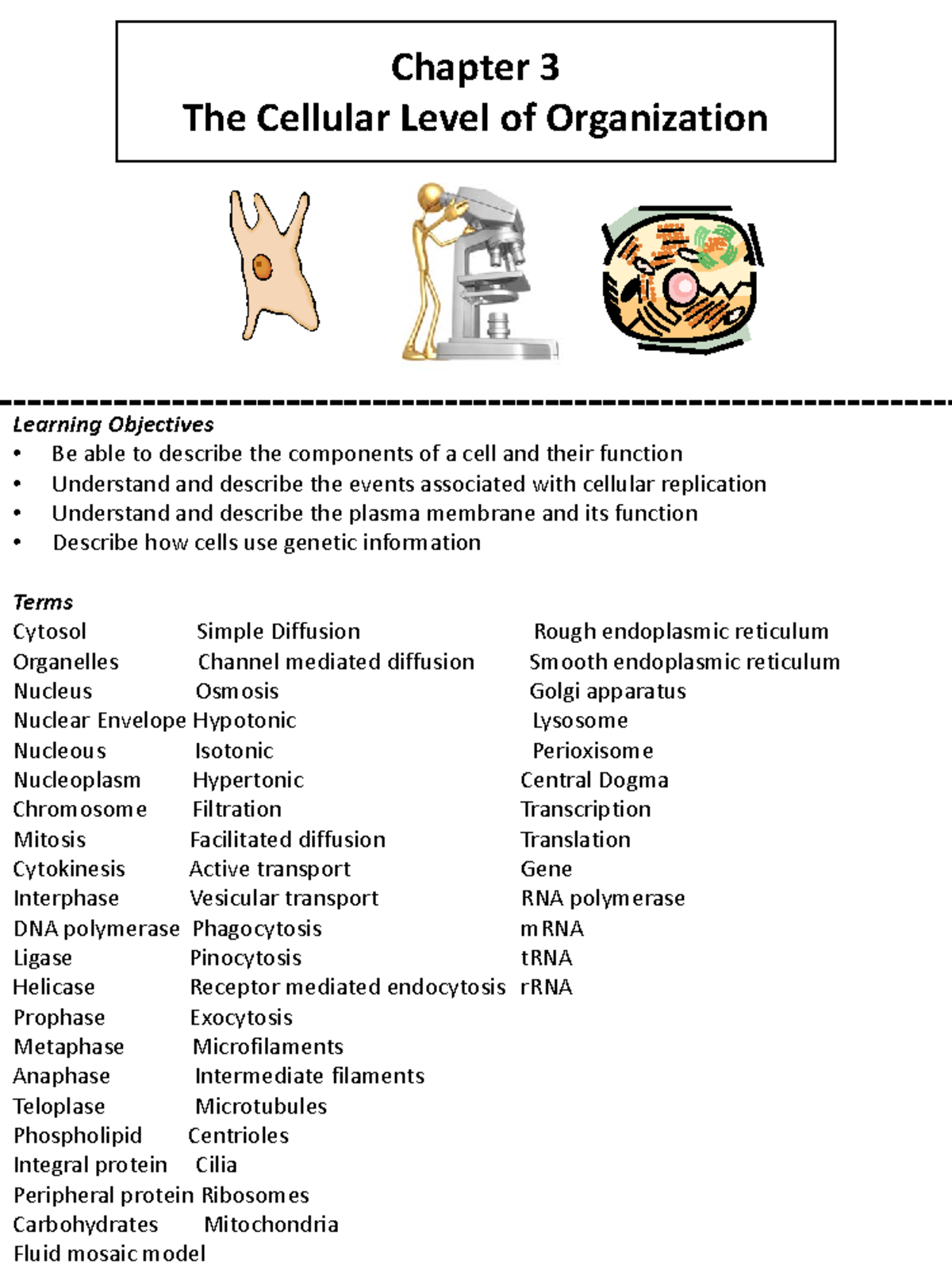 Chapter 3 - Dr.coleman - Chapter 3 The Cellular Level of Organization ...