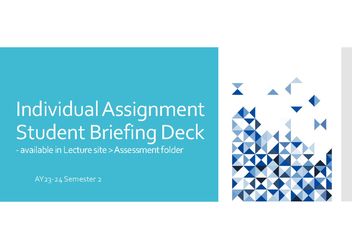 CC0005 AY23-24 Sem 2 Individual Assignment Student Briefing Deck ...