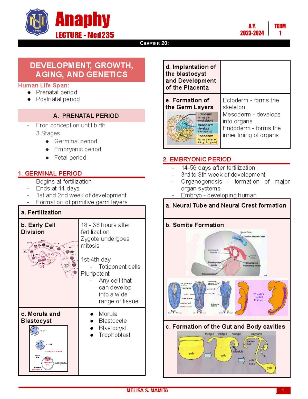 Chapter 20 - DEVELOPMENT, GROWTH, AGING, AND GENETICS - Anaphy LECTURE ...