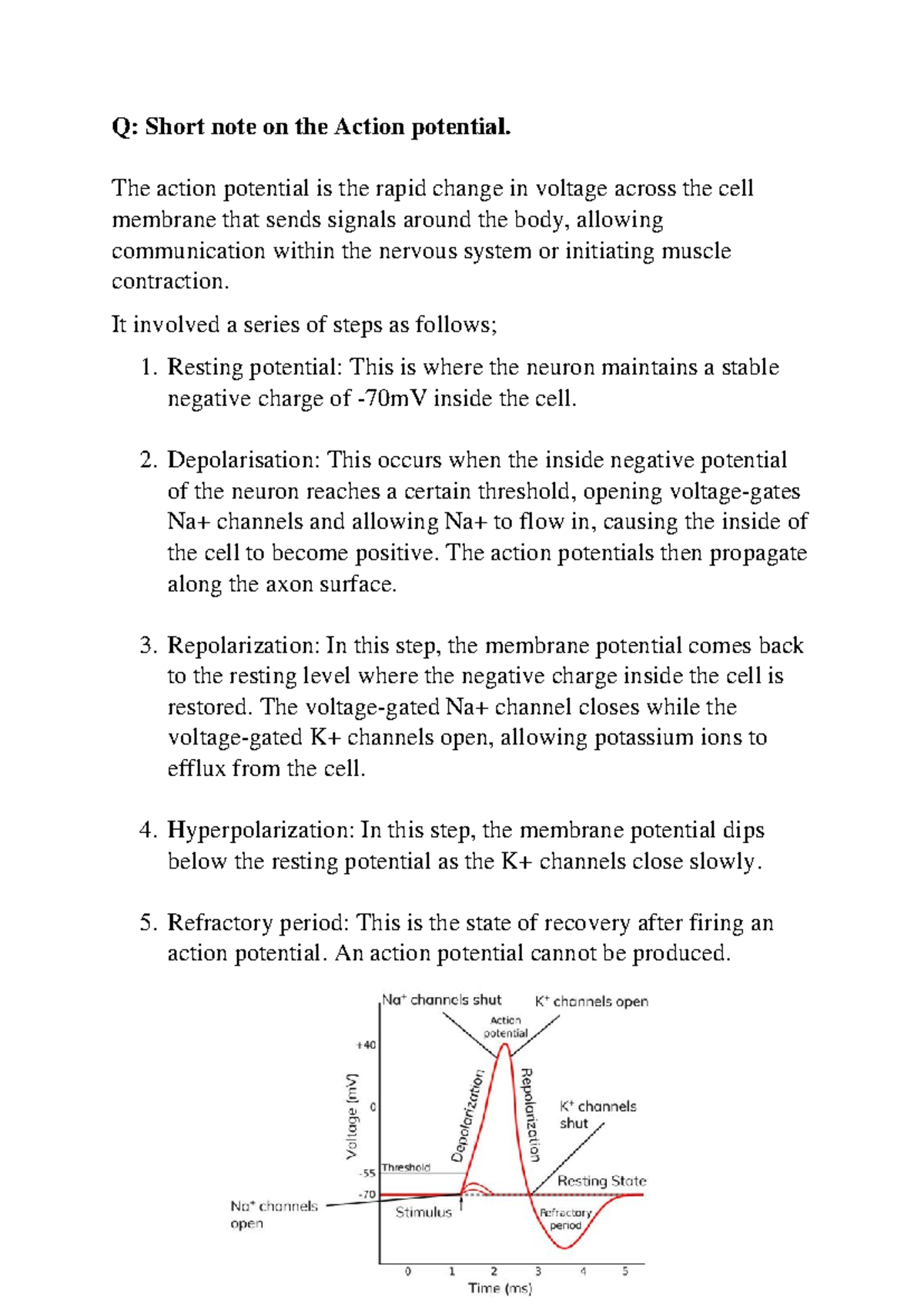 Homework - There is a short note on action potential and also another ...