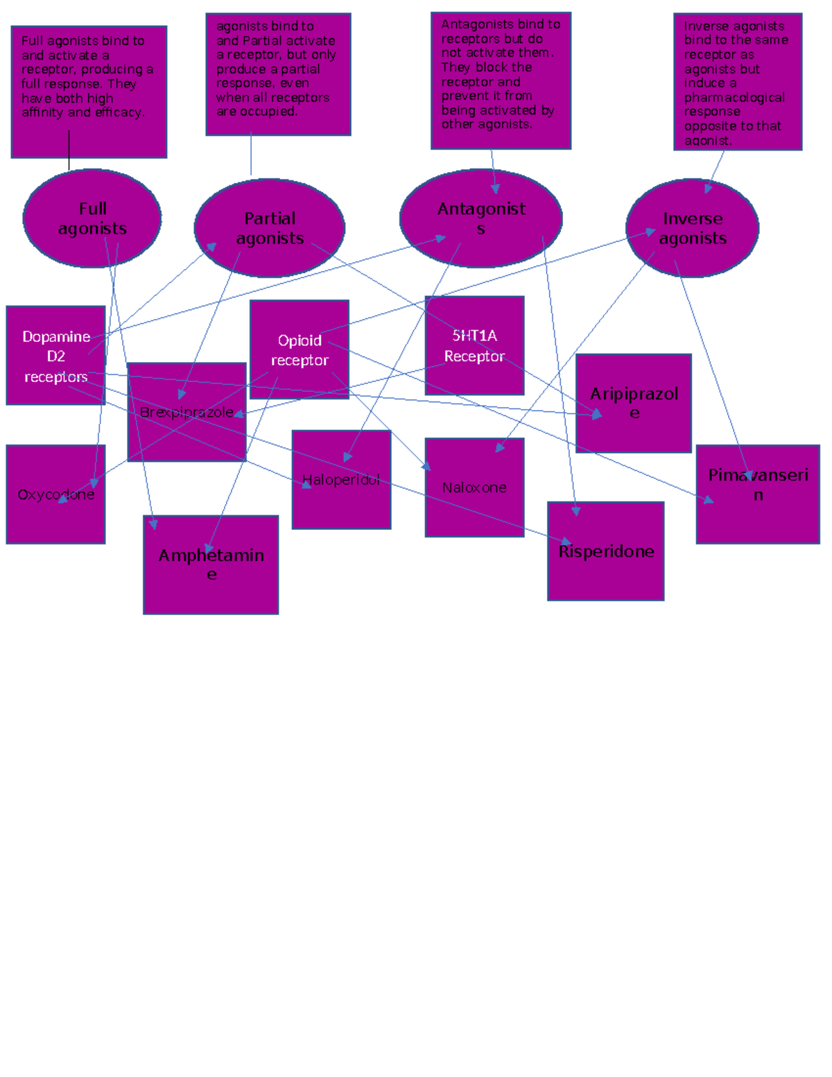 nursing concept map - Full agonists bind to and activate a receptor ...
