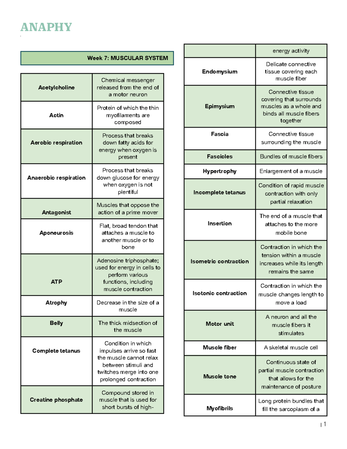 Anaphy Midterm - ANAPHY Week 7: MUSCULAR SYSTEM Acetylcholine Chemical ...